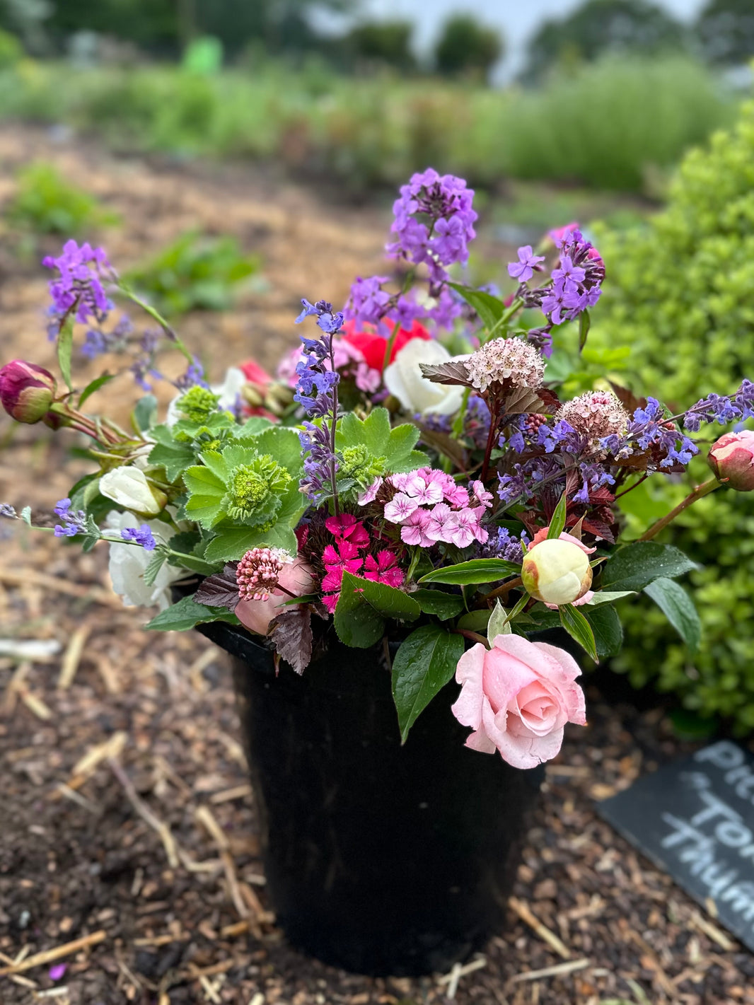 Sustainable British Flower Farm | Weddings, Workshops & Subscriptions ...