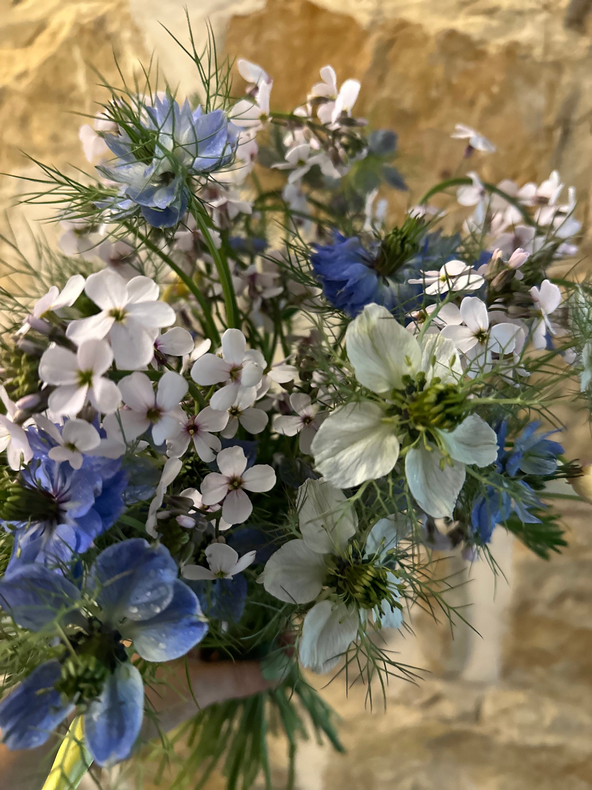 Sustainable British Flower Farm | Weddings, Workshops & Subscriptions ...