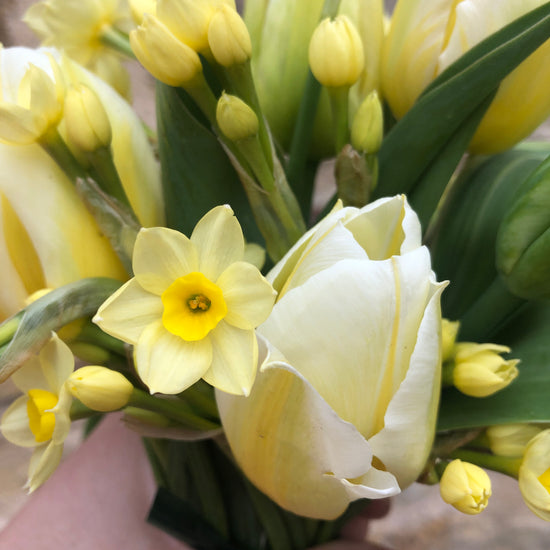 Sustainable flowers grown in Kent; courses, subscriptions, DIY wedding ...